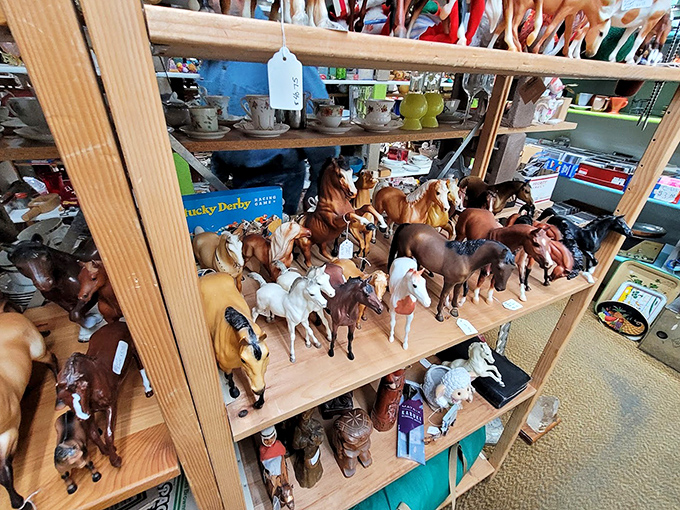 When someone collected every toy horse ever made and displayed them like a miniature rodeo of nostalgia and childhood dreams. 