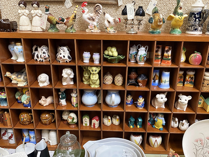 Vintage salt and pepper shakers: where yesterday's kitchen necessities become today's charming collectibles. Each cubby holds a different personality waiting to be adopted.