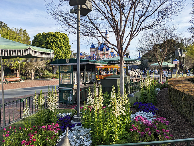 Meticulously maintained gardens frame distant turrets, proving that sometimes the journey toward magic is as beautiful as the destination.