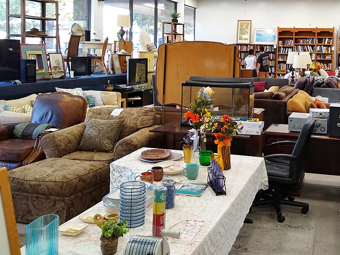 The furniture section resembles a living room museum where mid-century meets modern, and every piece has a story waiting for its next chapter. 