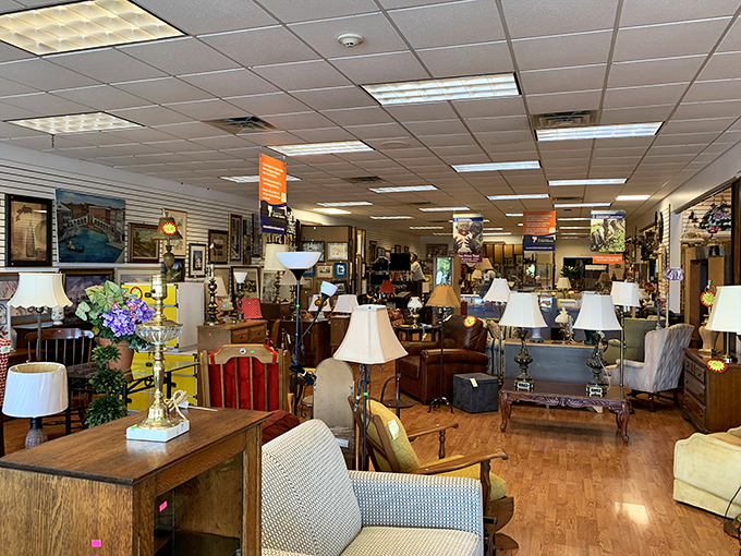 The furniture section resembles a living room museum where vintage sofas and wooden treasures patiently wait for adoption.