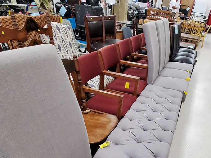 Furniture paradise where mid-century meets millennium, and every chair has a story worth sitting down for.