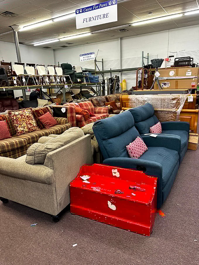 The furniture section could furnish an entire home with character. That blue sofa isn't just seating&mdash;it's your next conversation piece waiting to happen.