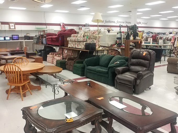 More books than your local library's annual sale, except these are here every single day waiting for adoption.