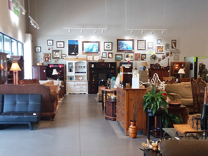 Furniture heaven! Dressers, cabinets, and seating options create a maze of possibilities. That potted fern is probably thinking, "I've seen so many shoppers fall in love today."