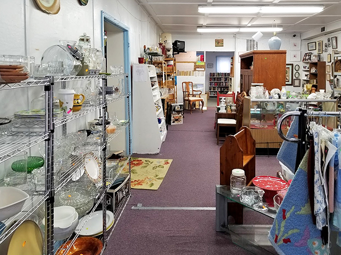 Glassware galore! From everyday tumblers to fancy goblets, this aisle promises to elevate your next dinner party without deflating your wallet.