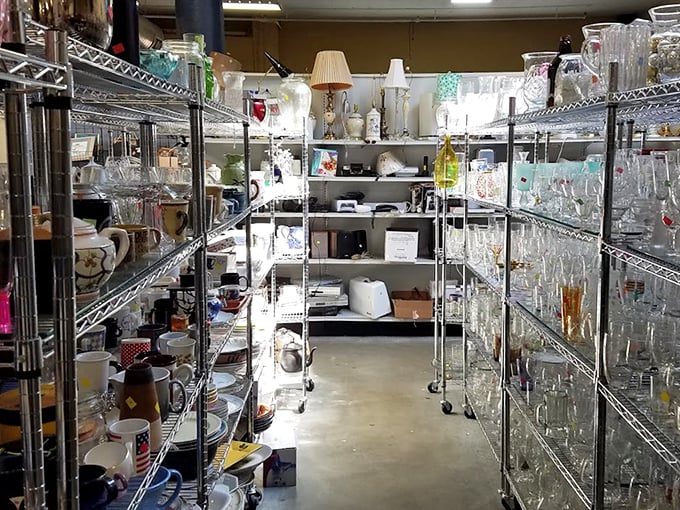 Crystal clear opportunities line these shelves. These glasses have toasted countless celebrations before, just waiting to witness your next dinner party triumph.