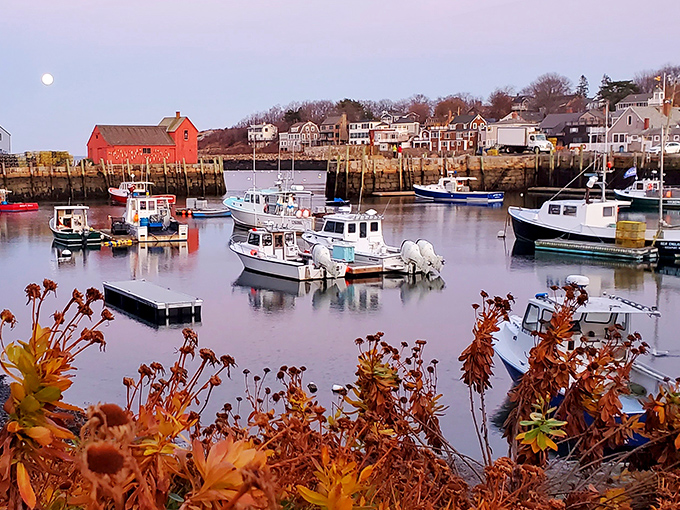 Bearskin Neck's charming shops and weathered buildings tell stories of maritime history while tempting you with treasures you never knew you needed.