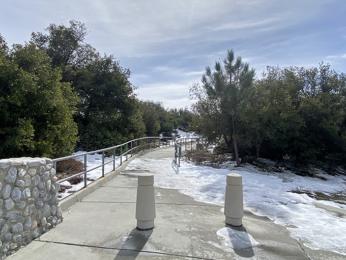 The path less traveled sometimes comes with handrails! This snow-dusted walkway promises adventure without the need for crampons or survival skills.