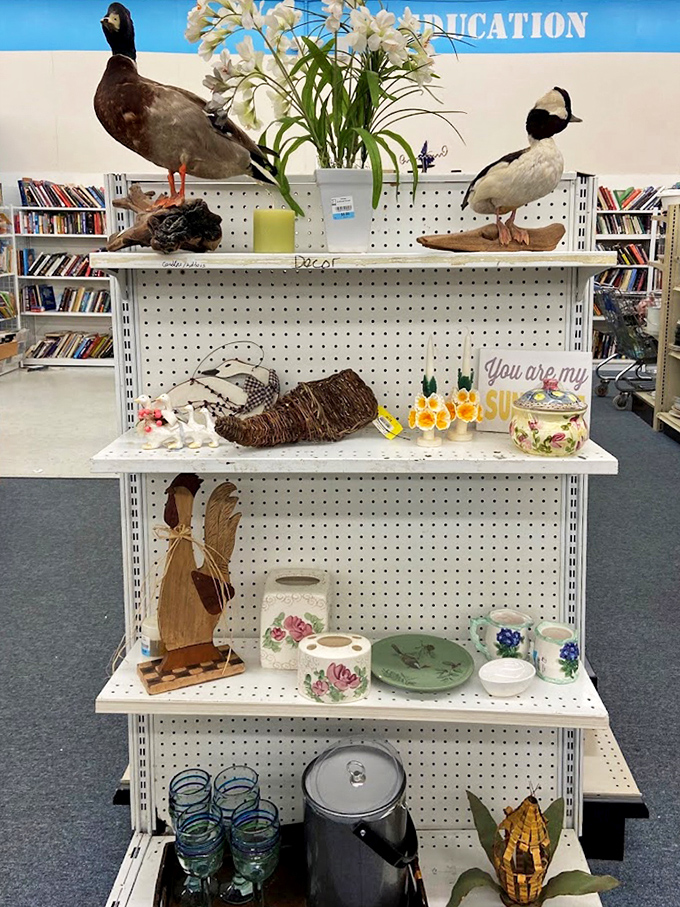 "Is that real duck?" You'll ask yourself these questions constantly in the home d&eacute;cor section, where taxidermy meets artificial flowers in delightfully unexpected ways.