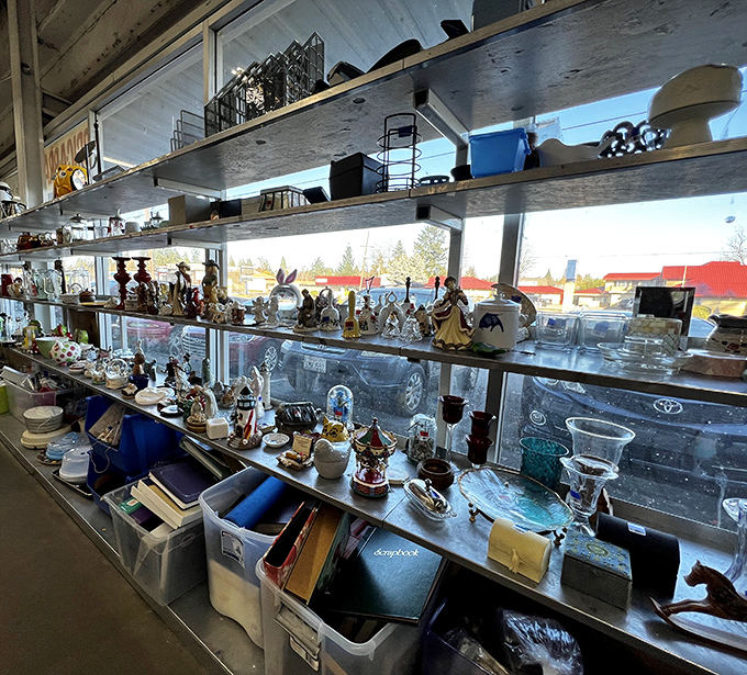 The knickknack shelves &ndash; where someone's "what was I thinking?" becomes your "I can't believe I found this!" Sunlight streams in, illuminating porcelain treasures.