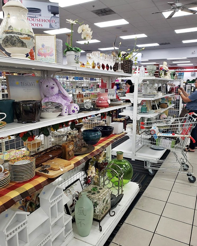 Shelves bursting with household treasures where that perfect serving bowl meets a stuffed bunny. It's like your grandmother's china cabinet had a beautiful collision with a department store.