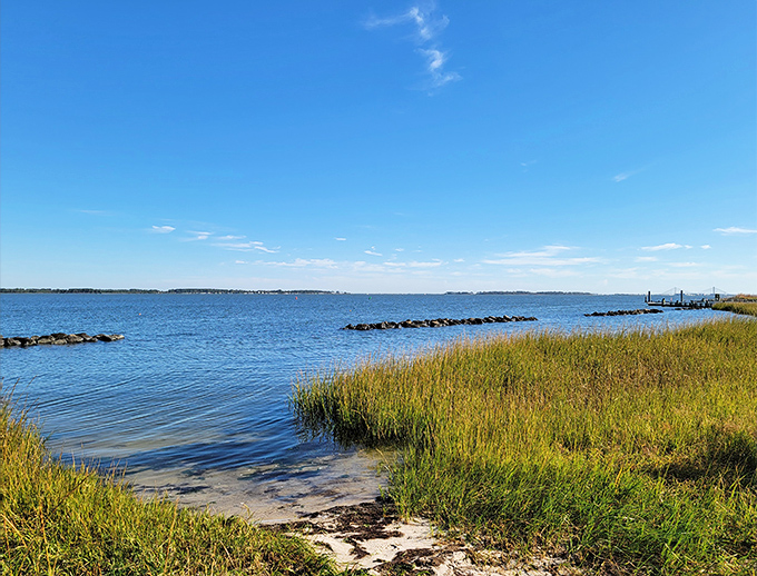 Where the Indian River Bay sparkles like scattered diamonds under Delaware's generous sunshine.