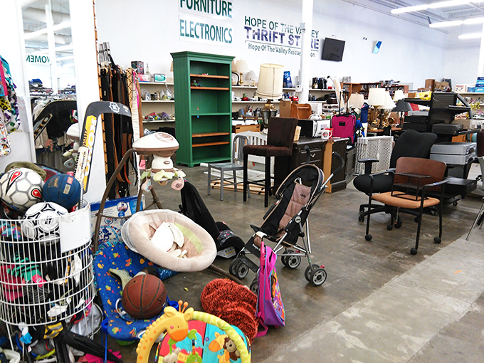 Where one person's "no longer sparks joy" becomes another's jackpot. The furniture section looks like a retirement community for chairs having their second act.