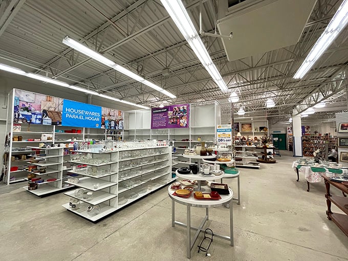 Bright lights illuminate organized shelves of housewares, where forgotten kitchen gadgets await their second act in someone else's culinary story.