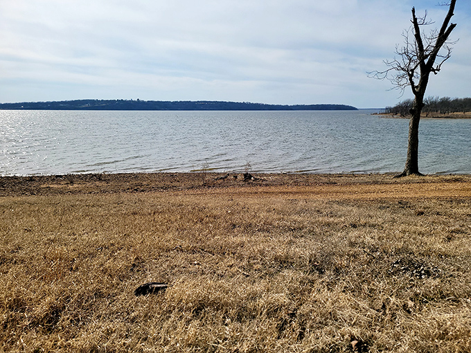 Fort Gibson Lake stretches wide and welcoming, proving that Oklahoma's got more shoreline than some people have common sense.