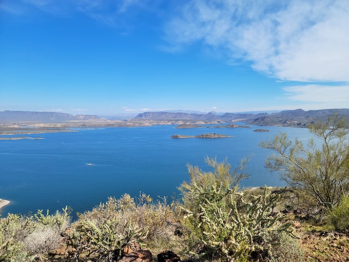 Desert beach day perfection! Nothing says "Arizona living" like setting up shade just feet from refreshing waters with mountains as your backdrop.