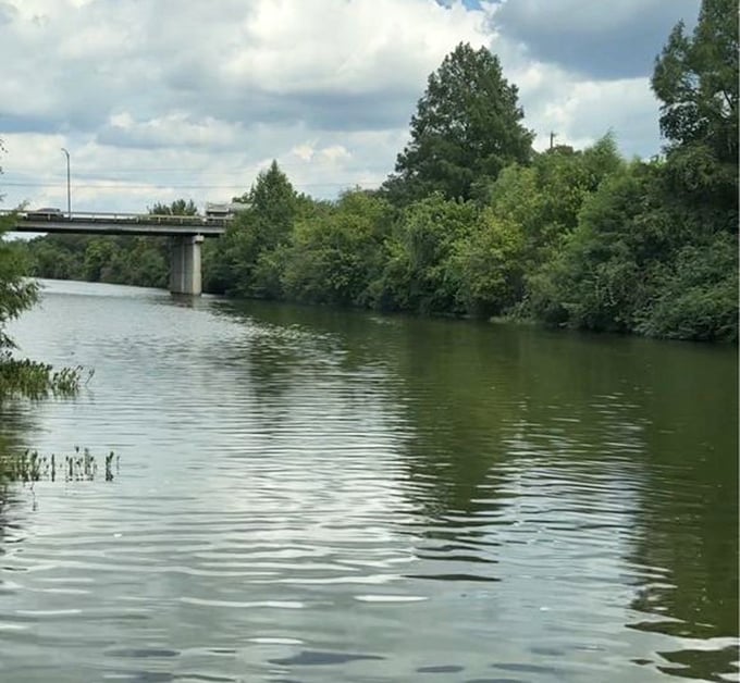 The Blanco River flows gently under the highway bridge, a reminder that natural beauty and modern convenience can coexist in perfect harmony.