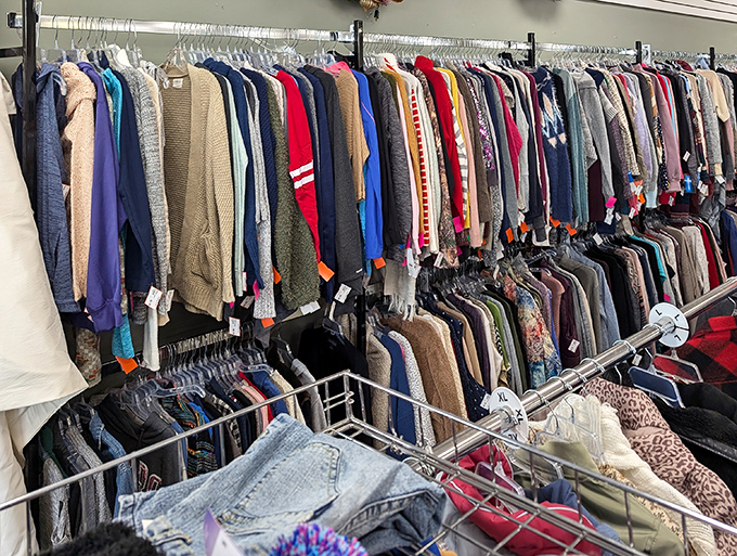 The long-sleeve section alone could outfit you through three Ohio winters, with enough variety to make Marie Kondo both proud and slightly nervous.