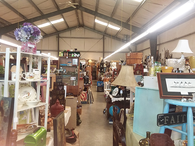 High ceilings and endless rows create a cathedral of collectibles. The hunt is as thrilling as the find in this treasure-seeker's paradise.