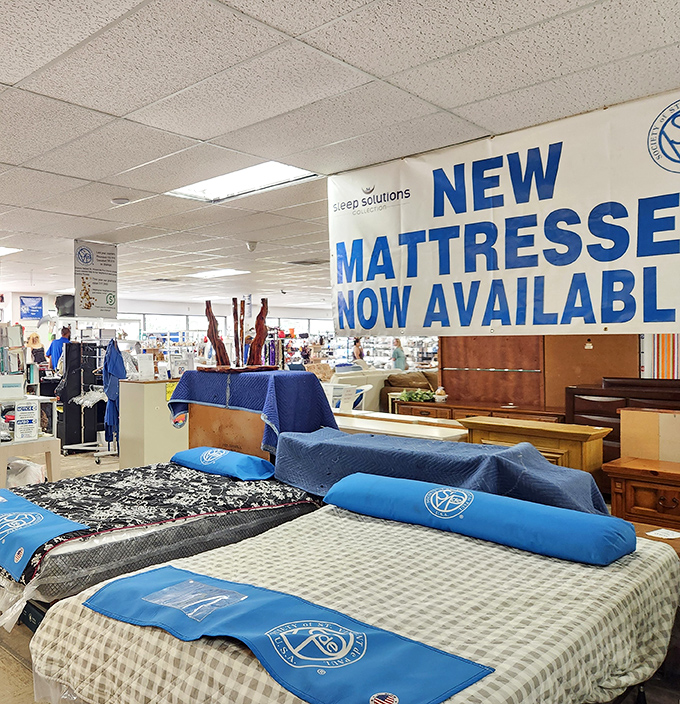 Who knew paradise could be so affordable? New mattresses await the sleep-deprived bargain hunter&mdash;no princess-and-pea drama required.