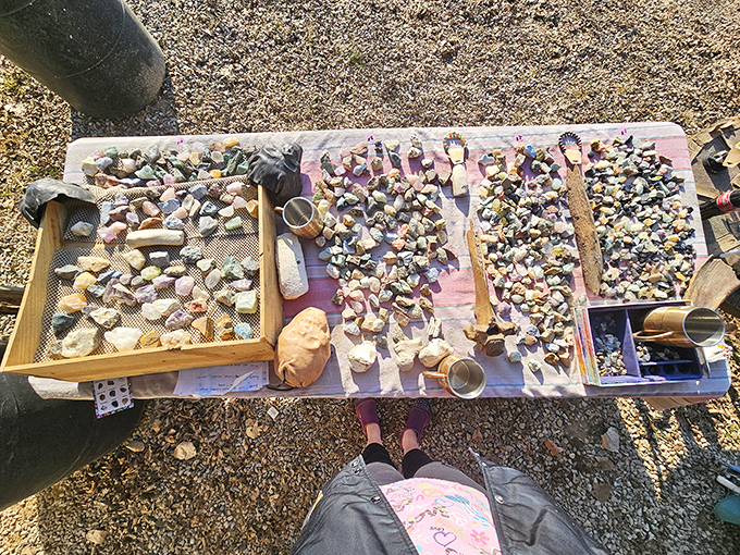 Nature's jewelry box spilled open—these mineral collections transform ordinary rocks into conversation pieces for coffee tables across Mississippi.