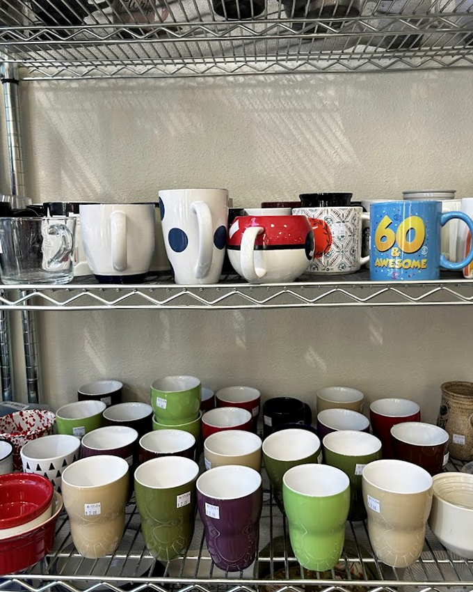A rainbow of ceramic possibilities awaits new homes. That "60 & Awesome" mug is practically begging to be your morning coffee companion.