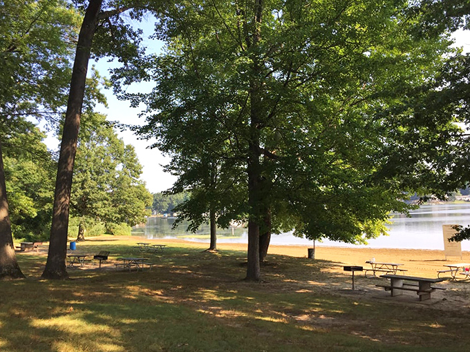 Picnic perfection awaits under nature's canopy. These shaded tables offer front-row seats to lake views that rival any five-star restaurant's ambiance.
