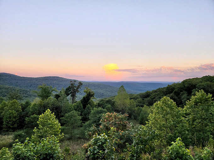 Sunset paints the Ozarks in watercolor hues, turning ordinary hills into extraordinary masterpieces. Worth every mile of the journey to witness this.