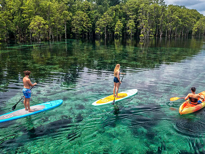 Walking on water? Almost! Paddleboarding over Jackson Blue's transparent waters lets you glide above an underwater world.