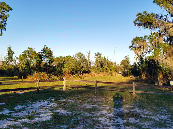 Nature's front porch &ndash; where wooden fences and information boards serve as the understated gateway to ancient Florida ecosystems.