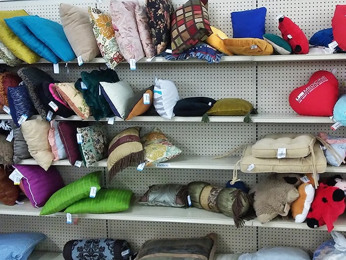 The pillow section: where home decorators with champagne taste but beer budgets find their happy place. Every color, pattern, and texture imaginable awaits.