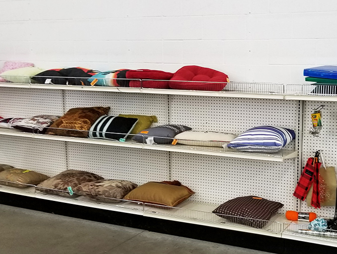 Throw pillows stacked three-deep tell silent stories of past living rooms, waiting for their next chapter to begin.