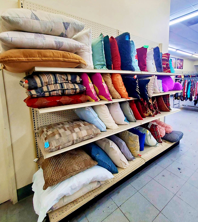 A rainbow of throw pillows stacked like a textile layer cake. One person's castoff becomes another's living room transformation for pocket change.
