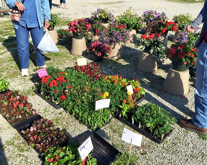 Spring comes alive at the plant section, where vibrant blooms and garden starts promise to transform Hoosier backyards into personal Edens.