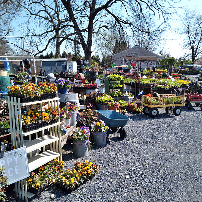 Spring brings an explosion of color to the outdoor market, where yesterday's gardeners meet tomorrow's landscapers.
