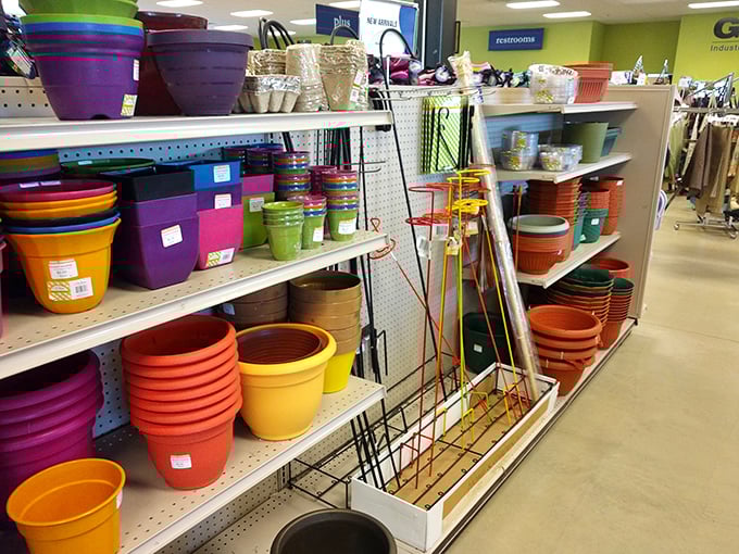 Garden dreams bloom in technicolor with these affordable planters—proof that your green thumb needn't require a gold wallet.