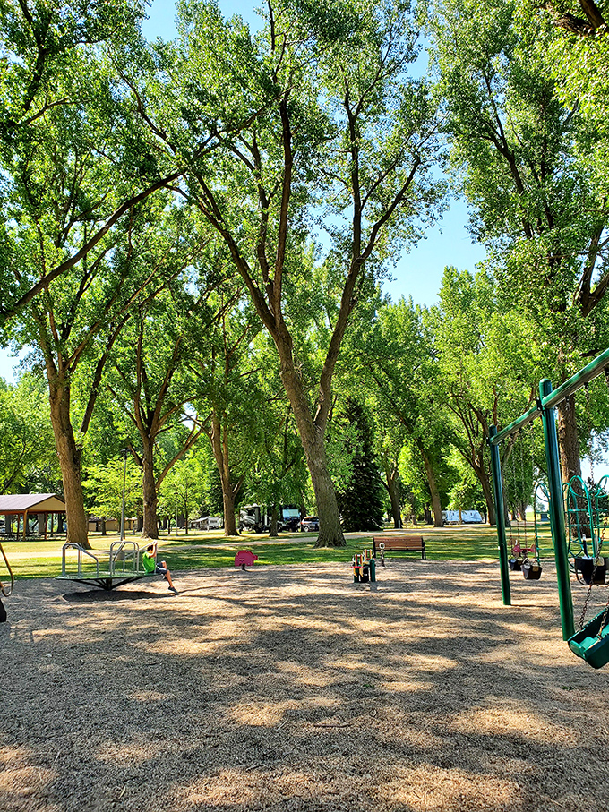 Centennial Park's playground sits beneath a cathedral of mature trees, offering summer shade that's worth its weight in Minnesota gold.