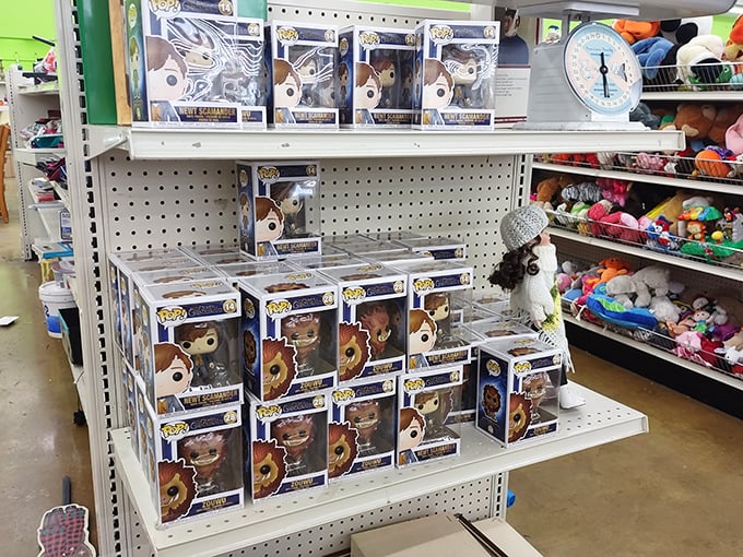 Pop culture collectibles line the shelves like tiny plastic celebrities waiting for their forever homes. Funko figures never go out of style!