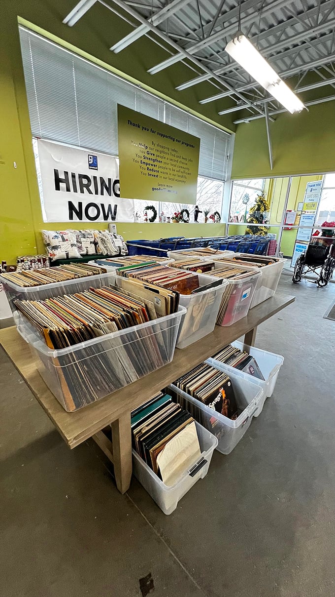 Vinyl enthusiasts, rejoice! These bins of records are like archaeological digs where your next musical obsession waits to be unearthed.