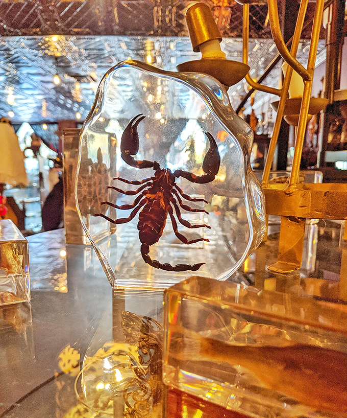 Clear as day but creepy as night—this scorpion forever frozen in resin makes for a conversation piece that's both scientific and slightly sinister.