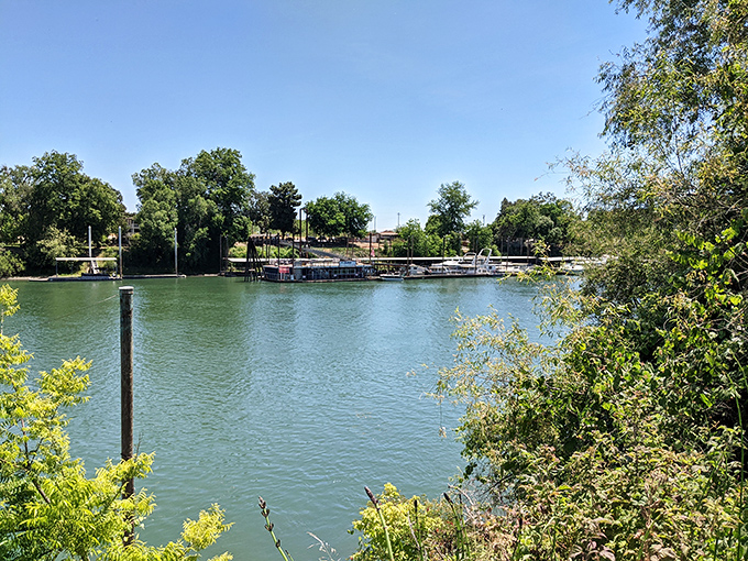 Mother Nature showing off again&mdash;the Sacramento River creates a shimmering pathway through lush greenery that changes with each passing season.