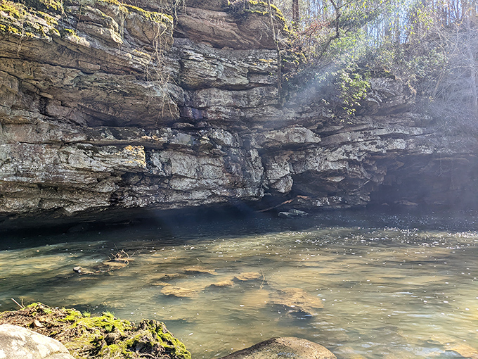 These ancient limestone layers hold more stories than your favorite neighborhood diner's regular booth.
