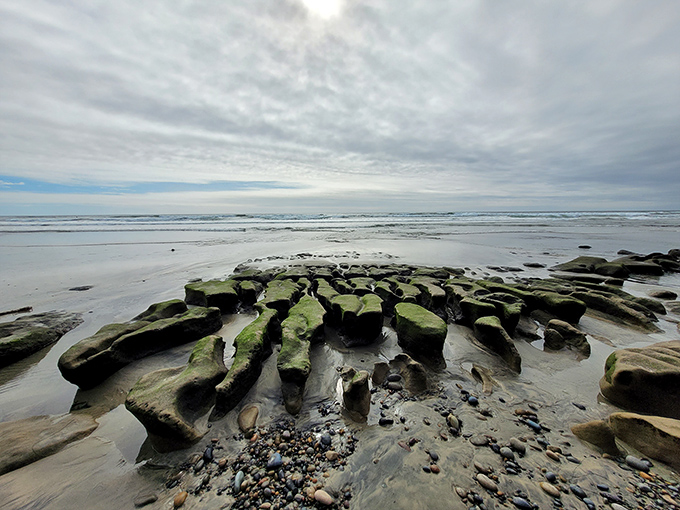 Nature's own abstract sculpture garden emerges at low tide. These moss-covered formations look like they were designed by an underwater Frank Lloyd Wright.