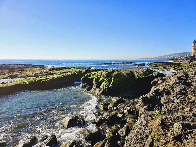 Nature's own infinity pool – these tide pools near the tower offer a marine biology lesson with every visit.