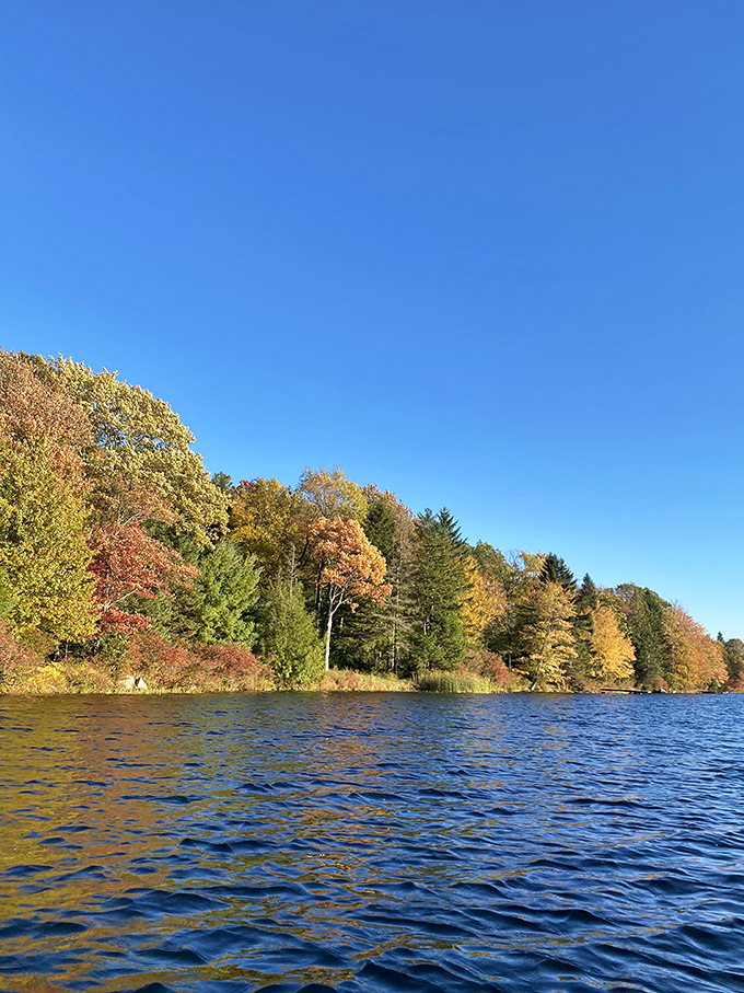 Fall's fashion show in full swing – trees dressed in their autumn best create a spectacle that makes even leaf-peeping skeptics gasp.