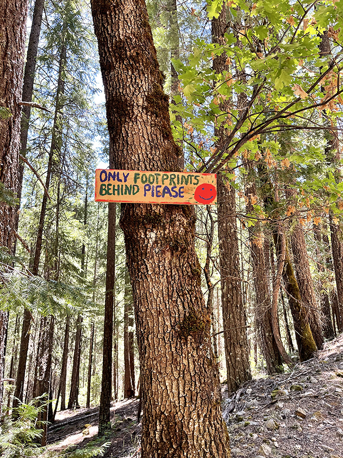 Only Footprints Behind Please &ndash; Mother Nature's polite way of saying "I've spent millions of years on this decor, don't mess it up."