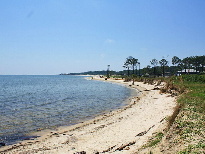 Where the Gulf whispers to the shore. Dauphin Island's natural beaches offer the rare luxury of solitude just steps from civilization.