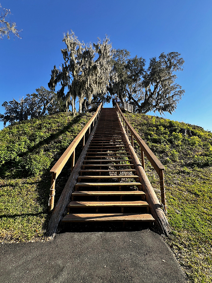 Stairway to history! These wooden steps lead adventurous visitors up Temple Mound, where ancient Floridians once gathered for ceremonies thousands of years ago.