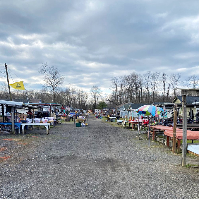 Flea market alley stretches toward possibility. Each stall represents a different universe of collectibles under a moody New Jersey sky.